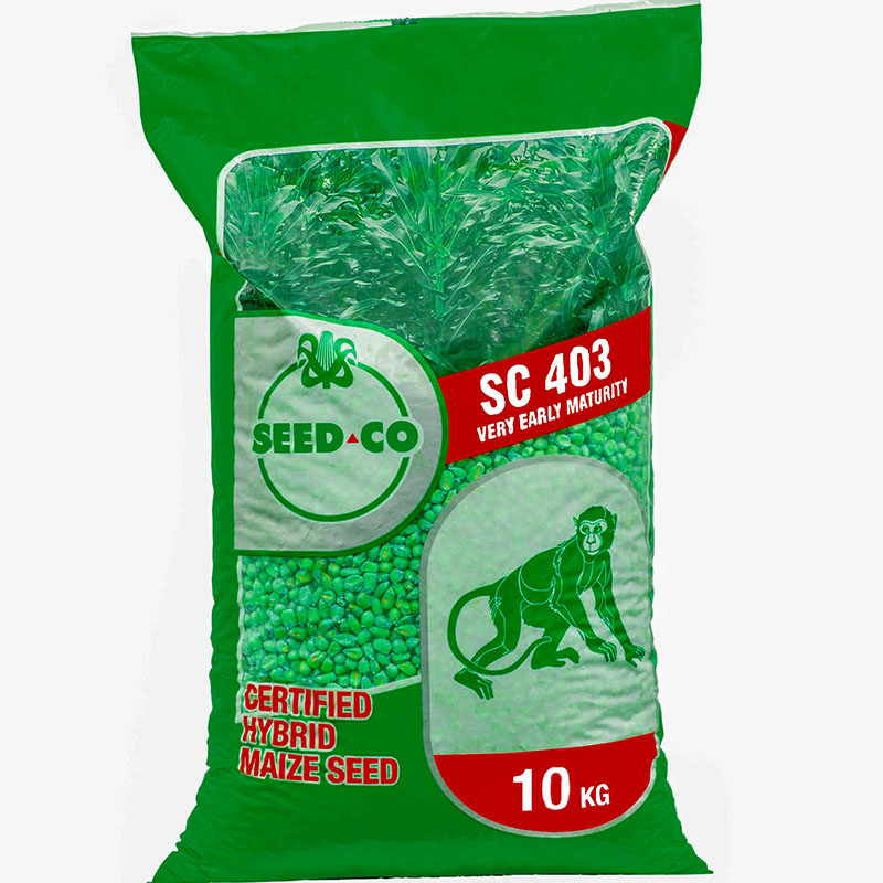 Seed Co Zambia Online Shop seed-co-zambia-online-shop