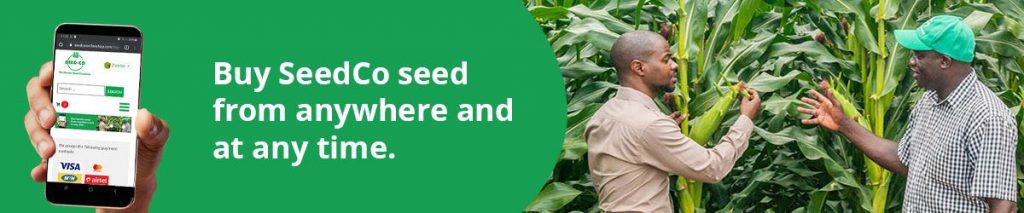 Seed Co Zambia Online Shop