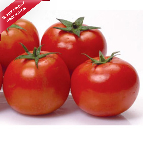 Seed Co Zambia Online Shop